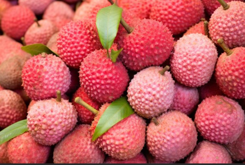 Dried Lychees – A Taste of the North